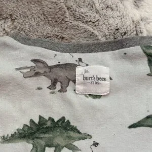 Burt's Bees Baby | Pajamas | Burts Bees Baby Dinosaur Matching Set Boys ...